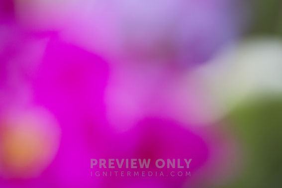 Minimal Bible Study - Shoots | Prixel Creative Minimal Bible Study - Shoots | Prixel Creative
