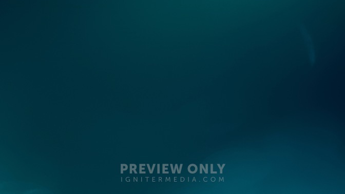 Scattered Light - Ocean Flares - Worship Backgrounds | MYK Scattered Light - Ocean Flares - Worship Backgrounds | MYK